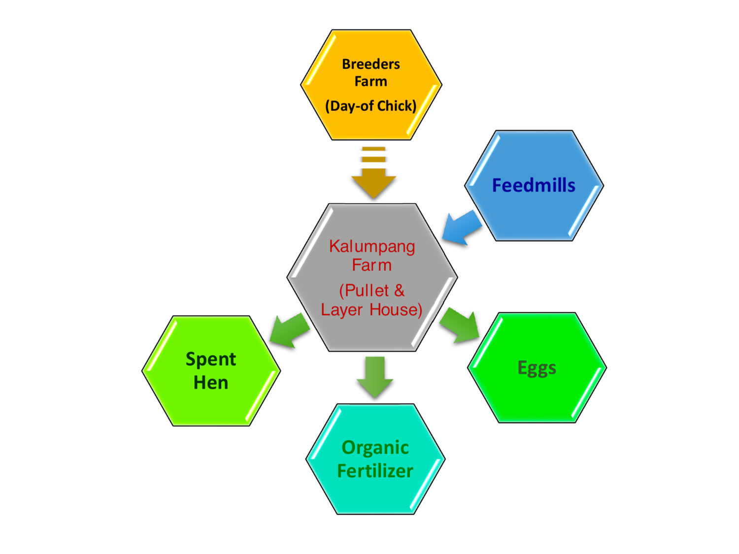 Organization Structure – Selasih Aman
